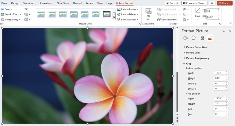 The Best Guide to Crop Pictures in PowerPoint Perfectly | MyExcelOnline