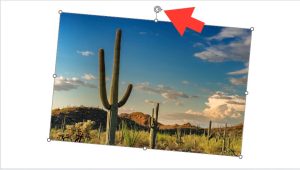 How to Rotate & Mirror Objects in PowerPoint Fast! | MyExcelOnline