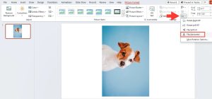 The Ultimate Guide to Rotate & Flip PowerPoint Images | MyExcelOnline