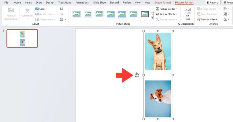 The Ultimate Guide to Rotate & Flip PowerPoint Images | MyExcelOnline
