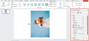 The Ultimate Guide to Rotate & Flip PowerPoint Images | MyExcelOnline