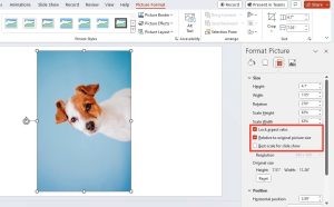 The Ultimate Guide to Rotate & Flip PowerPoint Images | MyExcelOnline