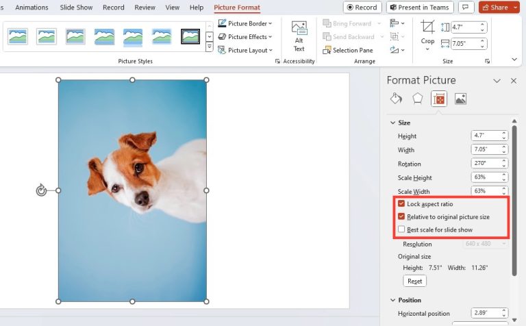 The Ultimate Guide to Rotate & Flip PowerPoint Images | MyExcelOnline
