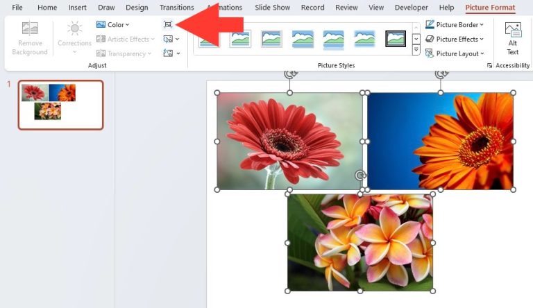 Quick Image Compression - PowerPoint Picture Shrinking Step by Step Guide | MyExcelOnline