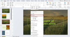 The Ultimate Guide to Copy Slide Backgrounds in PowerPoint | MyExcelOnline