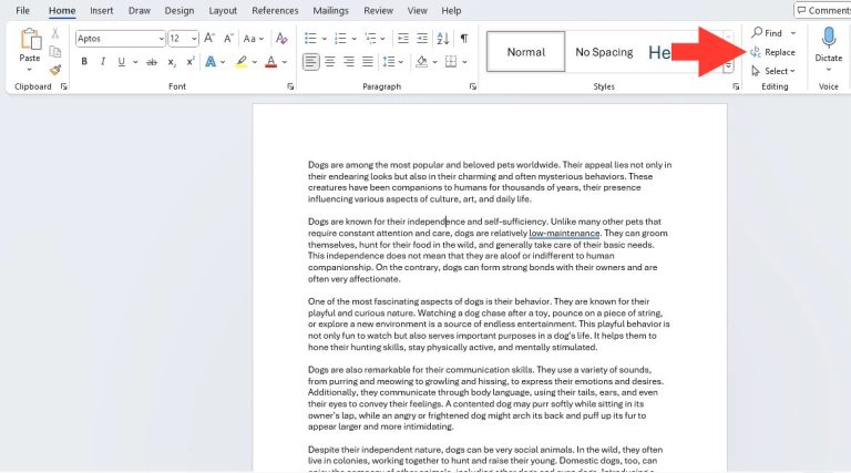 How to Use Find and Replace in Microsoft Word | MyExcelOnline