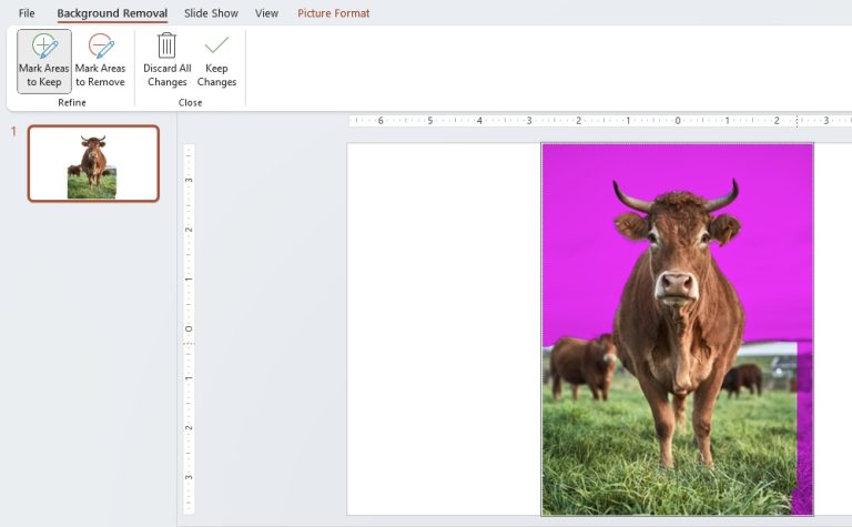 How to Remove Picture Backgrounds Fast in PowerPoint | MyExcelOnline