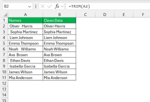 How to Remove Text from Cells in Excel | MyExcelOnline