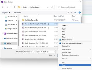 How to Backup OneNote on Windows 11 Fast | MyExcelOnline