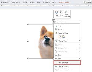 How to Compress Videos in PowerPoint for Smaller File Size | MyExcelOnline