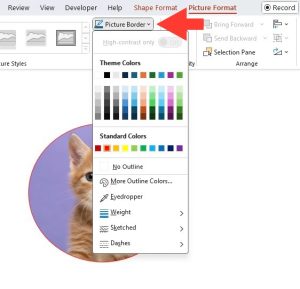 How to Crop Pictures to Circle Shape - PowerPoint Image Editing Guide ...