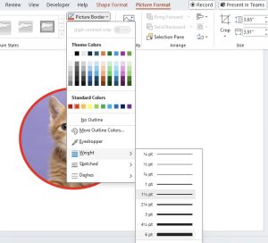How to Crop Pictures to Circle Shape - PowerPoint Image Editing Guide ...