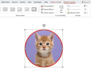 How to Crop Pictures to Circle Shape - PowerPoint Image Editing Guide ...