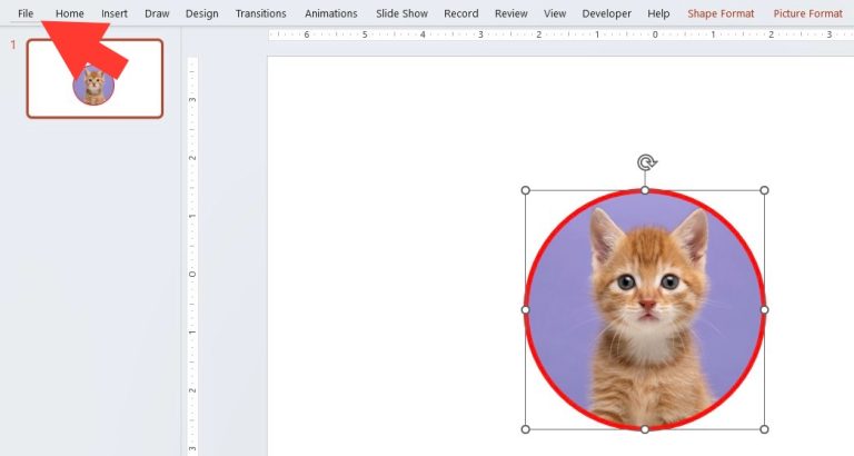 How to Crop Pictures to Circle Shape - PowerPoint Image Editing Guide ...