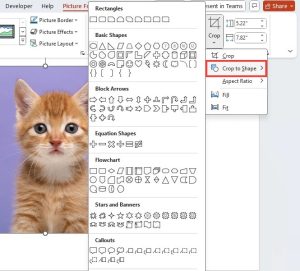 How to Crop Pictures to Circle Shape - PowerPoint Image Editing Guide ...