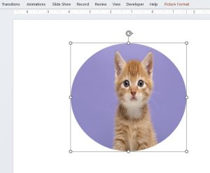 How to Crop Pictures to Circle Shape - PowerPoint Image Editing Guide ...