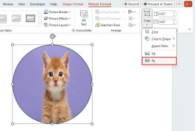 How to Crop Pictures to Circle Shape - PowerPoint Image Editing Guide ...