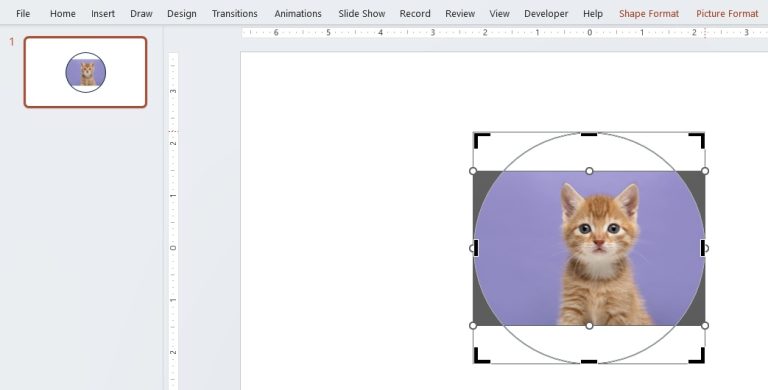How to Crop Pictures to Circle Shape - PowerPoint Image Editing Guide ...