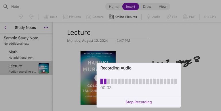 How to Master Microsoft OneNote on iPad | MyExcelOnline