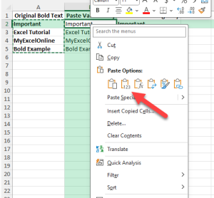 How to Copy and Paste Bold Text in Excel - Step by Step Guide ...