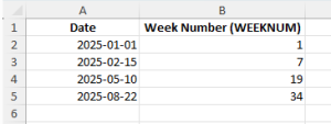 How to Get the Current Week Number in Excel | MyExcelOnline